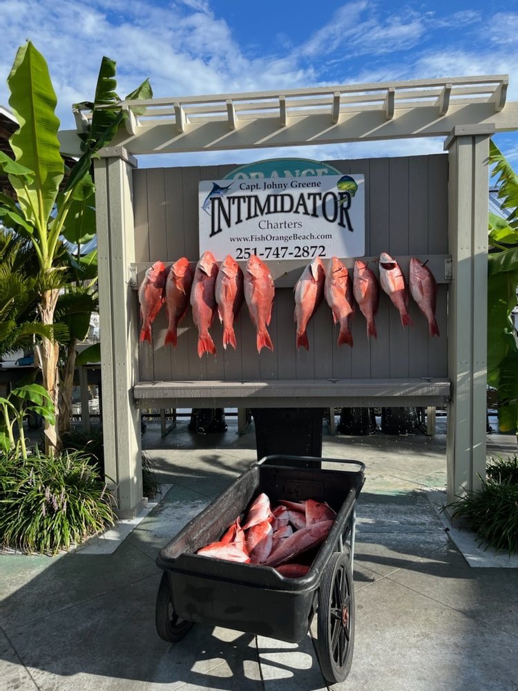 INTIMIDATOR SPORTFISHING - Updated September 2024 - 46 Photos - 27075 ...