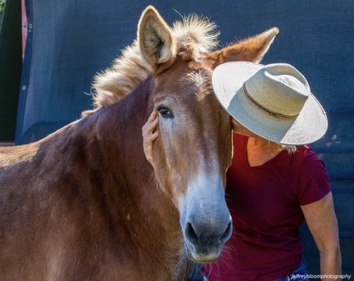 RANCHO BURRO DONKEY SANCTUARY - Updated December 2025 - 27 Photos ...