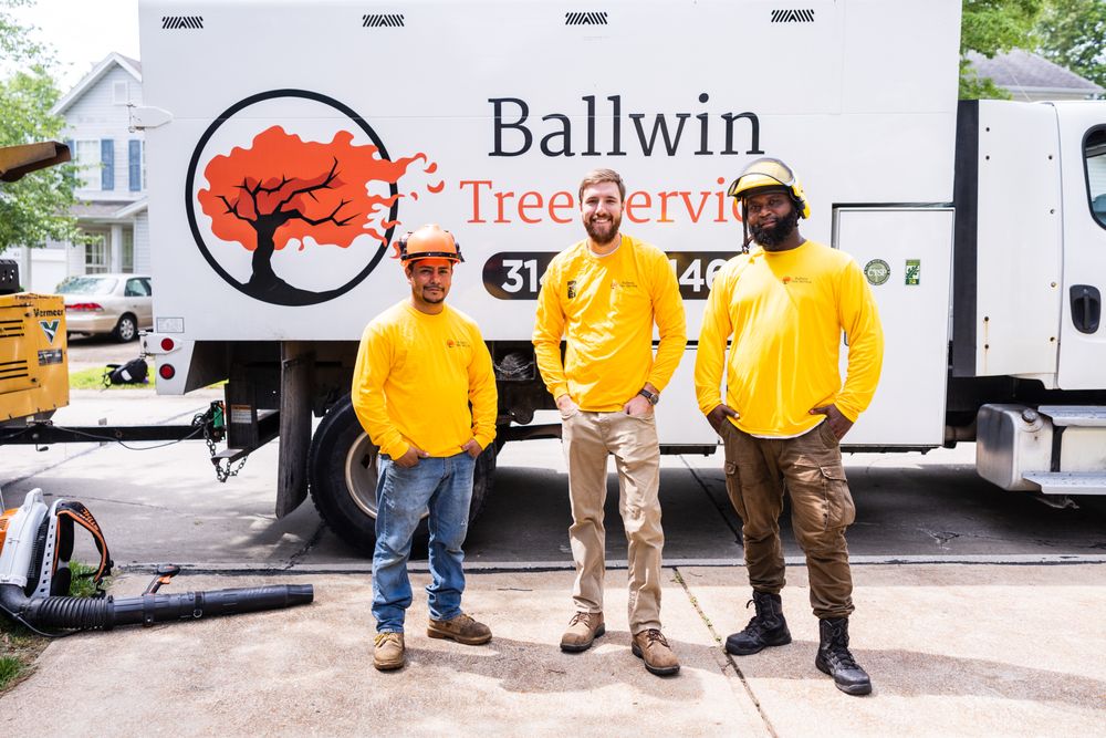 BALLWIN TREE SERVICE - Updated August 2025 - 10 Photos - 400 ...