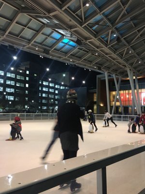 SILVER SPRING ICE SKATING AT VETERANS PLAZA - 54 Photos & 26 Reviews ...