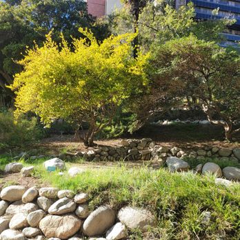 UCLA MATHIAS BOTANICAL GARDEN - Updated May 2025 - 440 Photos & 109 ...