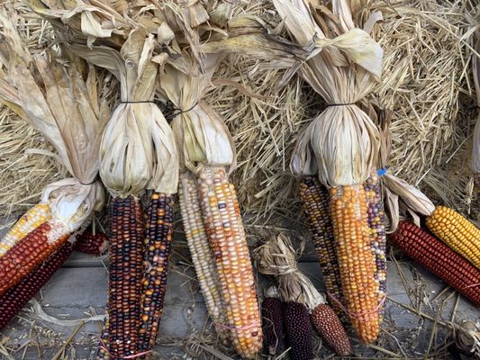 STYER ORCHARD - Updated September 2024 - 81 Photos & 56 Reviews - 97 ...