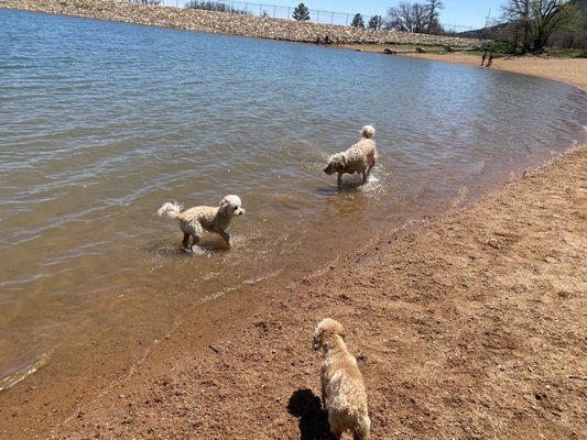 STRATTON OPEN SPACE - 26 Photos & 15 Reviews - Ridgeway Ave And ...