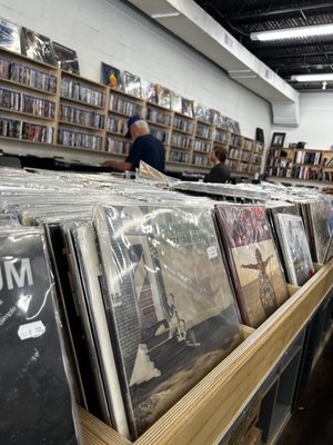 CD CELLAR - Updated December 2025 - 29 Photos & 105 Reviews - 105 Park ...