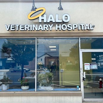 HALO VETERINARY HOSPITAL - Updated December 2025 - 12 Photos - 909 ...