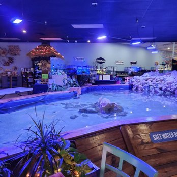 FLOATING SEA AQUATICS - Updated October 2024 - 235 Photos & 45 Reviews ...