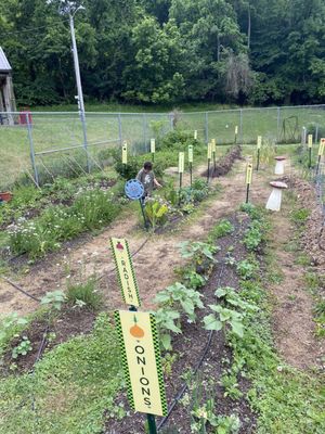 CRAFTON PARK - Updated October 2025 - 17 Photos - 15 Afton Ave, Crafton ...