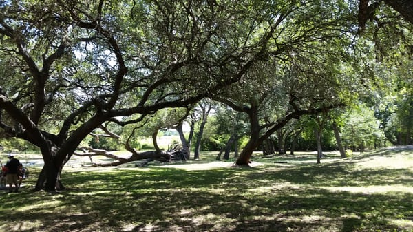 SHADY OAKS RANCH - Updated December 2025 - 12020 Schaefer Rd, Universal ...