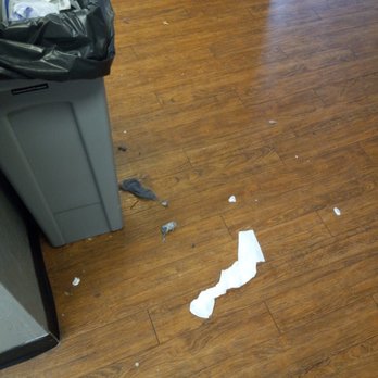 COLTER PARK - Updated January 2026 - 56 Photos - 909 West Colter St ...