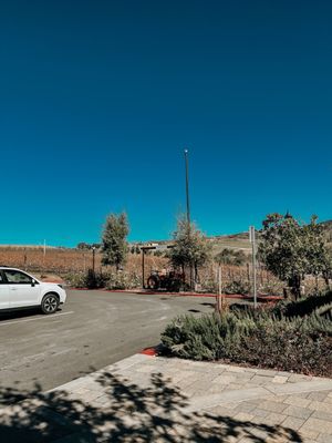 ROBERT RENZONI VINEYARDS - 795 Photos & 578 Reviews - Wineries - 37350 ...