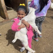 RANCHO LOS FONSECA - 117 Photos & 18 Reviews - Petting Zoos - 3275 ...