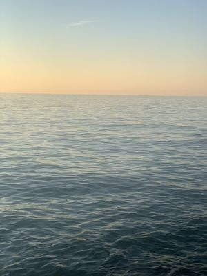 SIMS PARK - Updated July 2024 - 33 Photos & 13 Reviews - 23131 ...