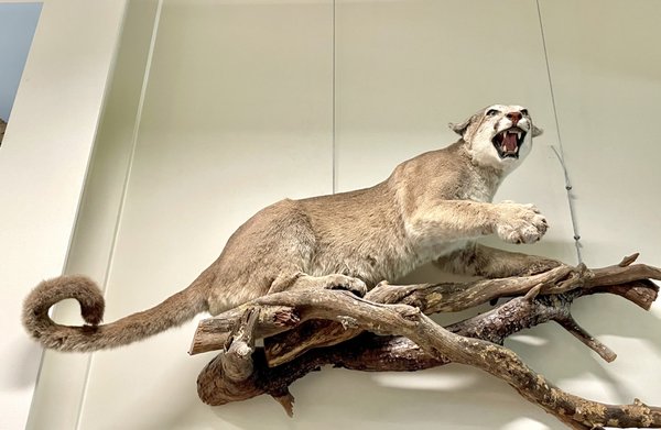 WHITE TANK LIBRARY - Updated December 2025 - 104 Photos & 43 Reviews ...