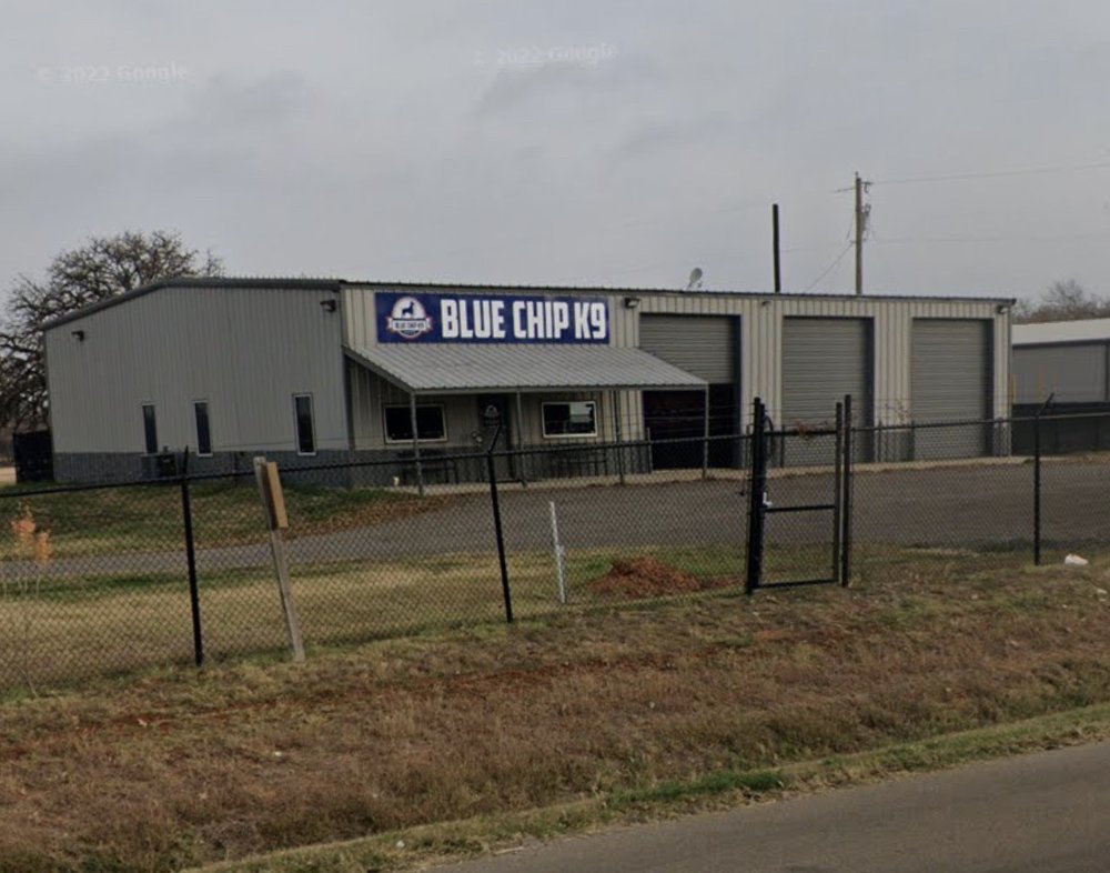 BLUE CHIP K9 - Updated July 2025 - 6260 Retta Mansfield Rd, Burleson ...