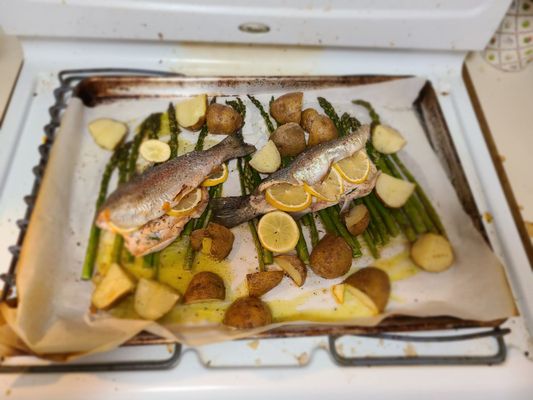SPRING VALLEY TROUT FARM - Updated May 2026 - 17 Photos & 13 Reviews ...