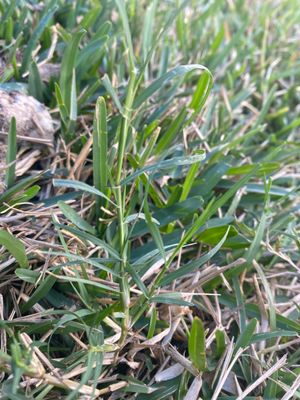 THE BUSHEL STOP - Updated January 2025 - 183 Photos & 58 Reviews - 8596 ...