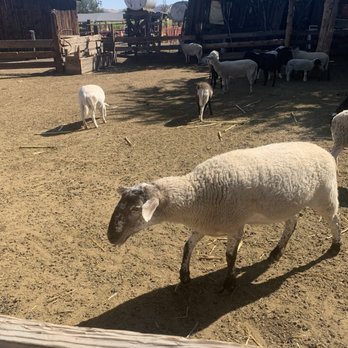 FERRARI FARMS - Updated October 2025 - 191 Photos & 69 Reviews - 4701 ...