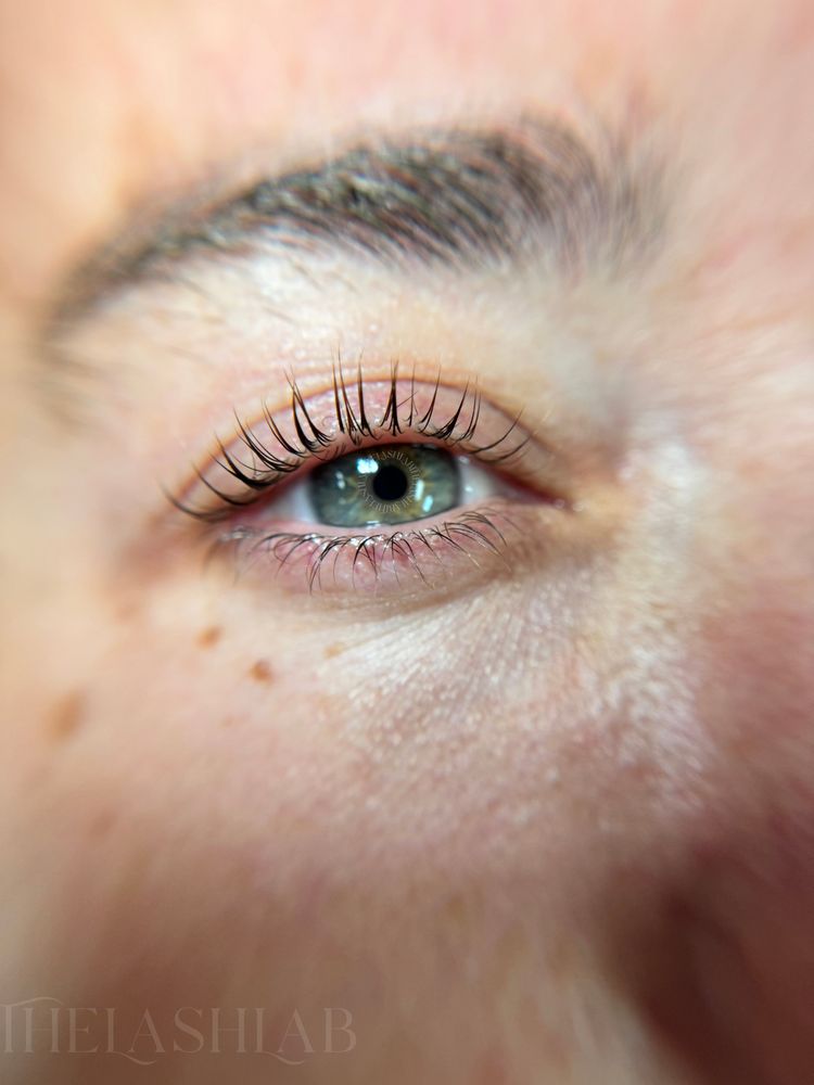 THE LASH LAB - Updated April 2025 - Request an Appointment - Garden ...