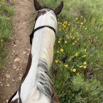 BEAR CREEK STABLES - Updated August 2025 - 52 Photos & 44 Reviews ...