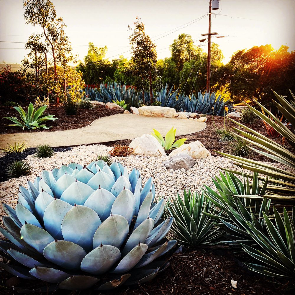 ASHLEY FARRELL LANDSCAPE DESIGN - Updated July 2024 - 1495 Photos & 13 ...