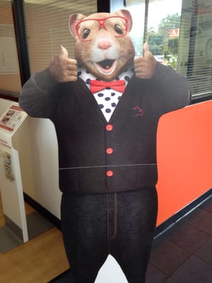 FIRST TEAM KIA - Updated December 2025 - 24 Photos & 37 Reviews - 4834 ...