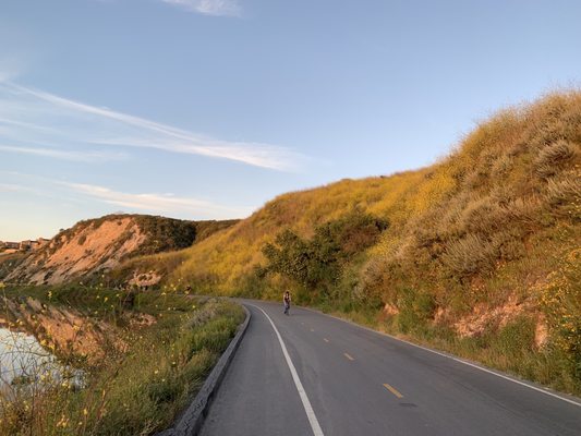 BACK BAY LOOP TRAIL - 451 Photos & 159 Reviews - 600 Shellmaker Rd ...