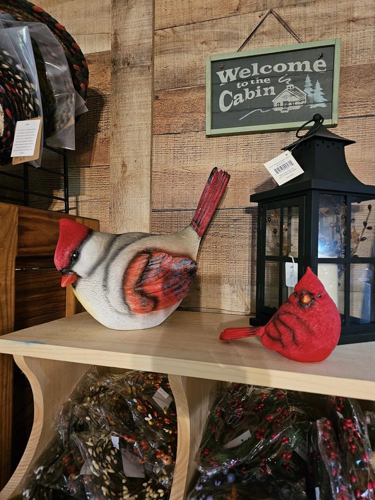 RUSTIC REFLECTIONS - Updated August 2025 - 2224 State Hwy 99, Chapel Hill, Tennessee - Home ...