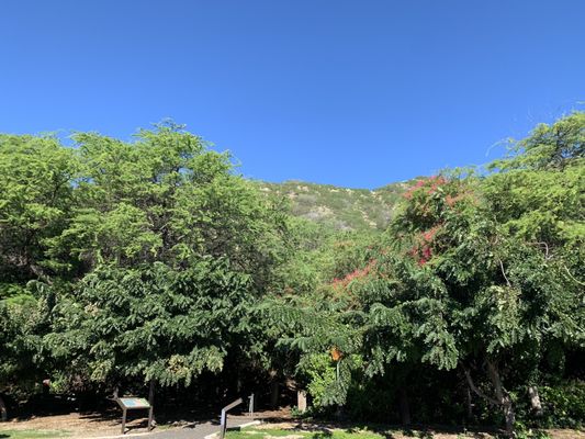 MURIEL FLANDERS PARK - BEAUTIFUL LEAHI - Updated October 2025 ...