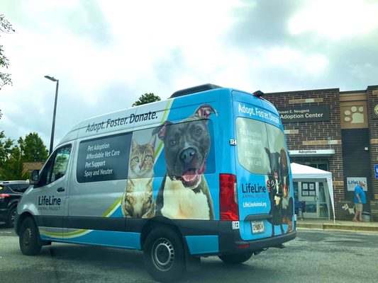 DEKALB COUNTY ANIMAL SERVICES - Updated June 2024 - 25 Photos & 48 ...