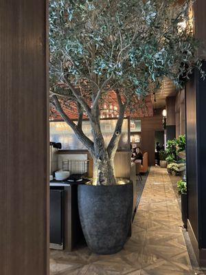 VILLAGE TAVERN - Updated April 2025 - 101 Photos & 52 Reviews - 4140 ...