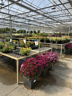 FLOWERLAND - Updated December 2025 - 122 Photos & 25 Reviews - 4321 ...