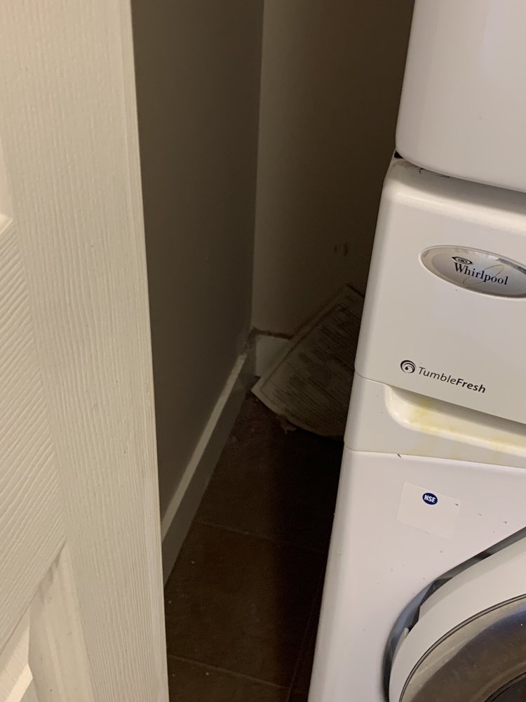 SCRUBBI - 24 Reviews - Surrey, British Columbia, Canada - Home Cleaning ...