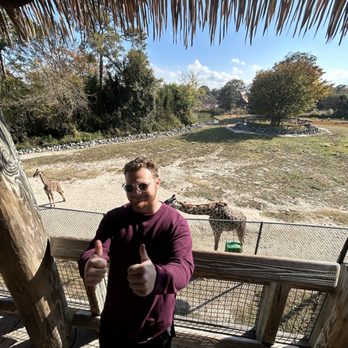 VIRGINIA ZOO - 1414 Photos & 230 Reviews - 3500 Granby St, Norfolk ...