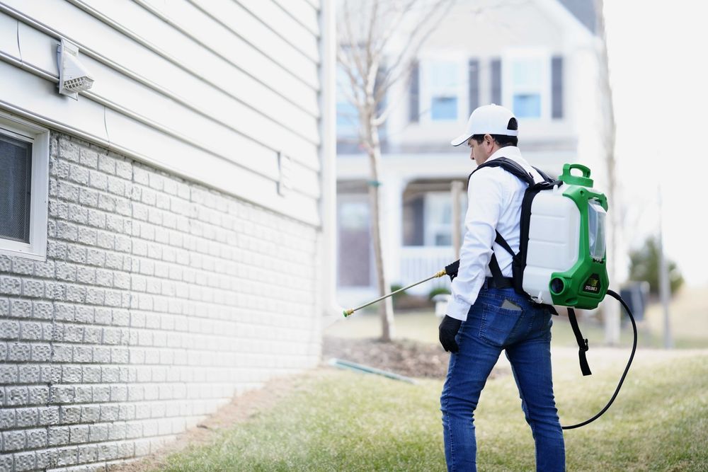 PEST NOTCH & CONTROL SOLUTIONS - Updated October 2025 - 36 Photos & 12 ...