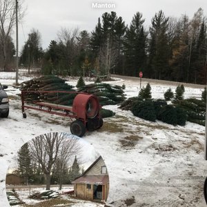 DUTCHMAN TREE FARMS - Updated October 2025 - 9689 W Walker Rd, Manton ...