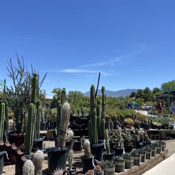 MESQUITE VALLEY GROWERS NURSERY - Updated August 2024 - 620 Photos ...