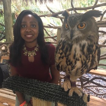 ZOOLOGICAL WILDLIFE FOUNDATION - Updated June 2024 - 866 Photos & 239 ...