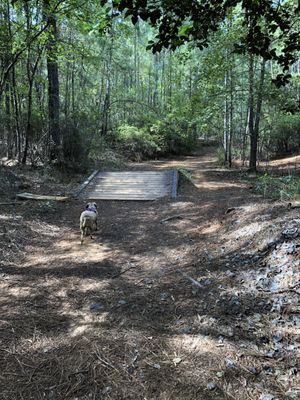 HARBISON STATE FOREST - Updated October 2025 - 32 Photos & 12 Reviews ...