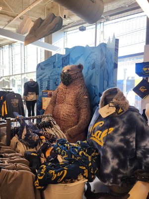CAL STUDENT STORE - Updated July 2025 - 67 Photos & 26 Reviews - 2495 ...