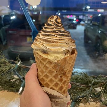 WILD SCOOPS - Updated June 2024 - 217 Photos & 151 Reviews - 530 E ...