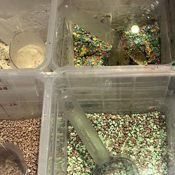 FUNKY SWEETS - Updated March 2025 - 342 Photos & 258 Reviews - 11024 ...