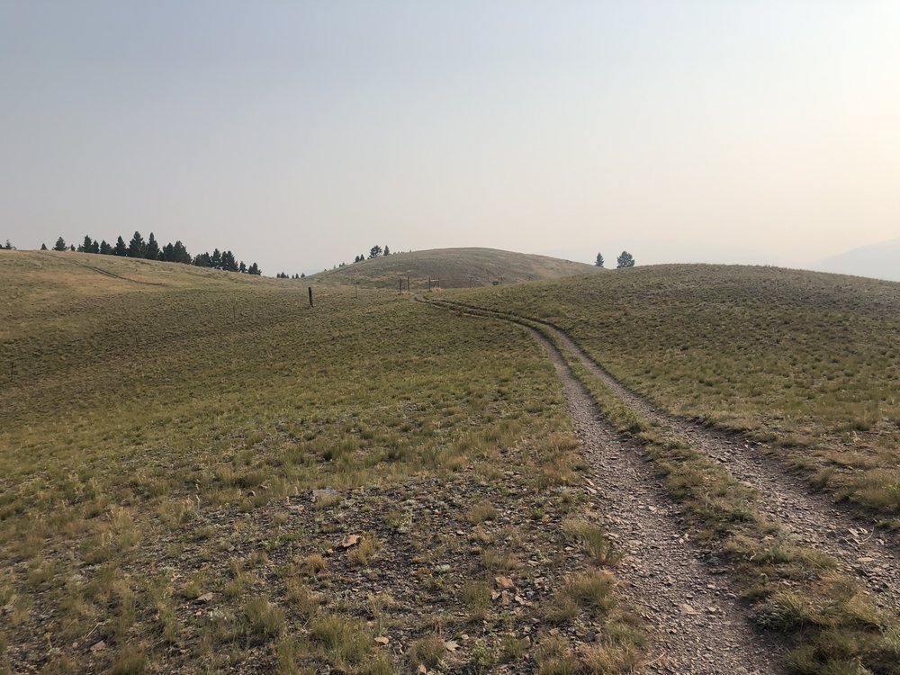 MOUNT JUMBO - Updated February 2025 - 15 Photos - Popular Ave, Missoula ...