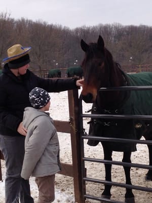 WATCHUNG STABLE - Updated October 2025 - 12 Photos - 1160 Summit Ln ...