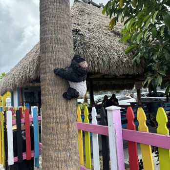 MEXIOTE EXPRESS - Updated December 2025 - 127 Photos & 135 Reviews ...