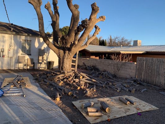 NEXT LEVEL LANDSCAPE & TREE CARE - Updated December 2025 - 57 Photos ...