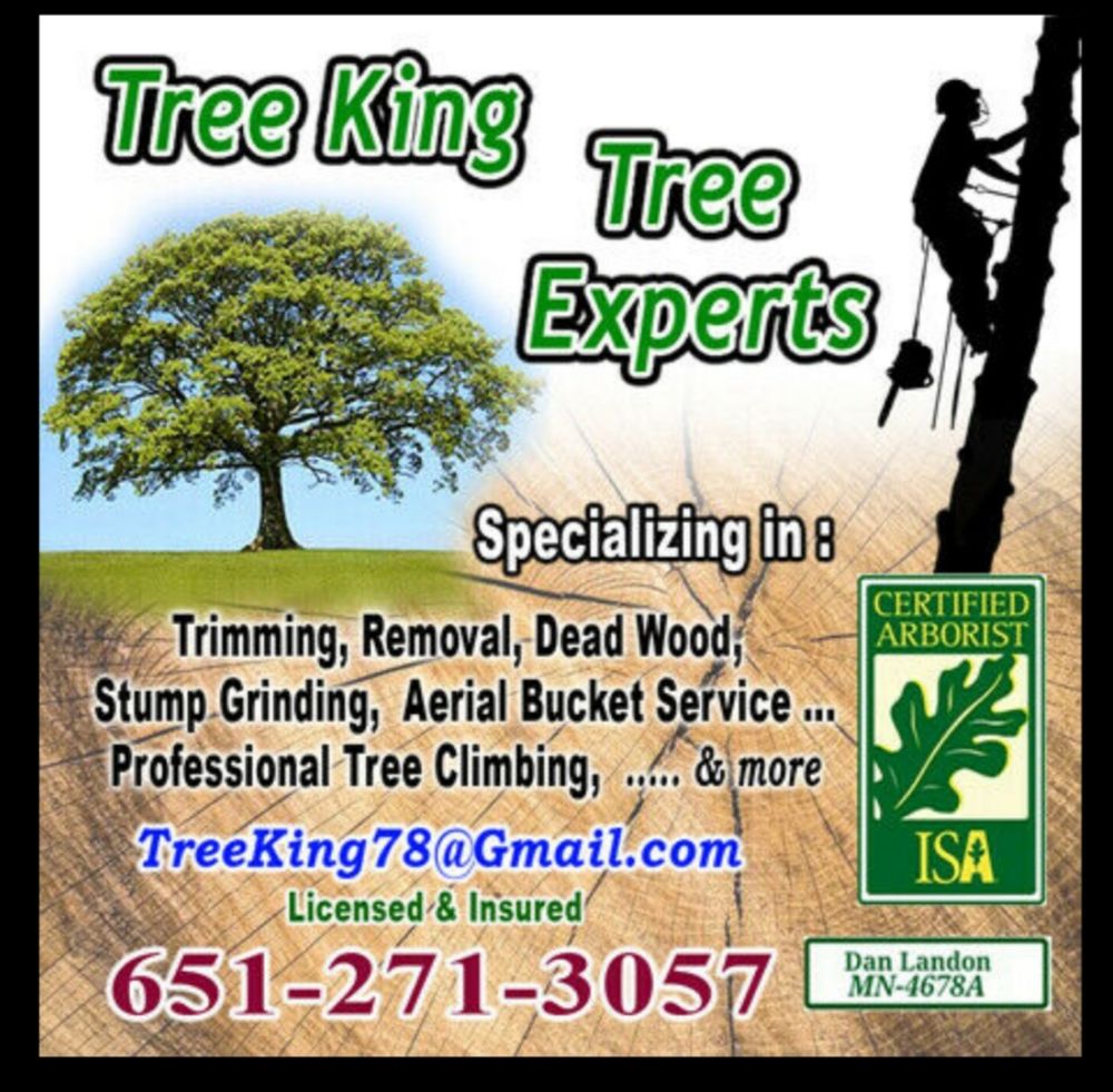 TREE KING TREE EXPERTS - Updated March 2025 - 80 Photos - Saint Paul ...