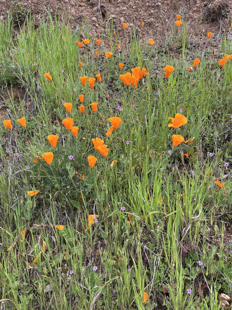 MOLLER RANCH TRAILS - Updated August 2025 - 11 Photos - 8107 Moller ...