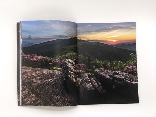 PRINTIVITY - Updated December 2025 - 107 Photos & 157 Reviews - 8225 ...