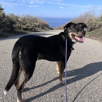 WHITE POINT NATURE PRESERVE - Updated December 2025 - 294 Photos & 35 ...