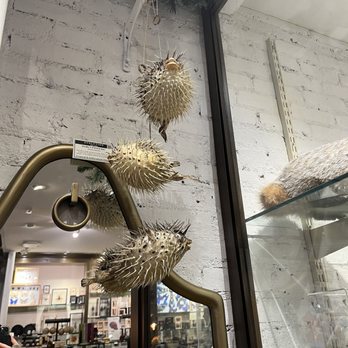 THE EVOLUTION STORE - Updated October 2025 - 325 Photos & 193 Reviews ...